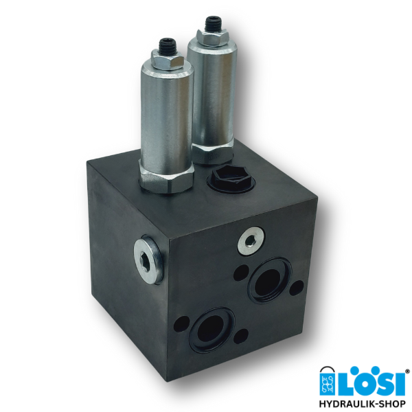 Double Shock+Suction+Non-Return Valve Type: SV+NRV-T-G-34 now in LÖSI ...